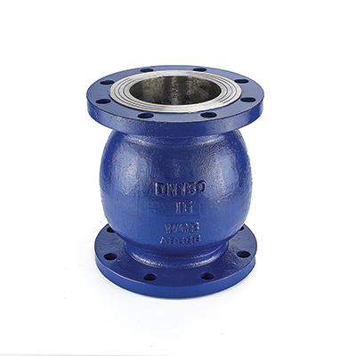 Vertical Check Valve - Buy Vertical Check Valve Product on FLOWX Valve